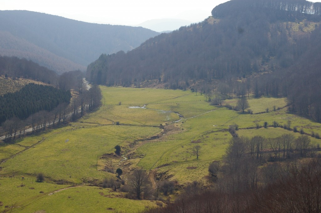 Belate « Life Tremedal